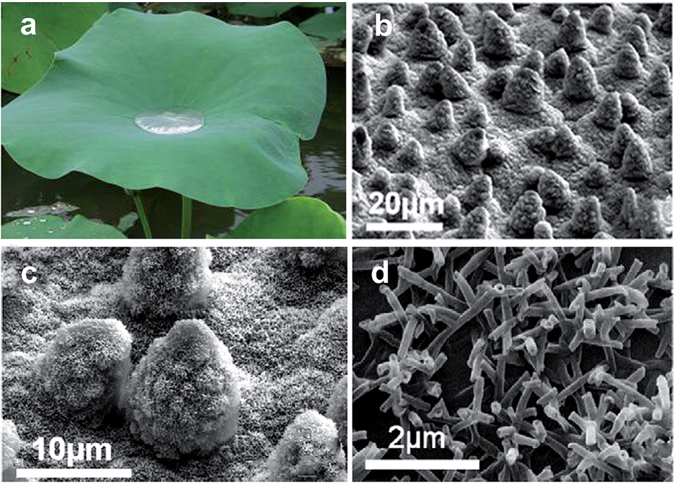 TEACHING MATERIALS for Students | ICT-TEX platform