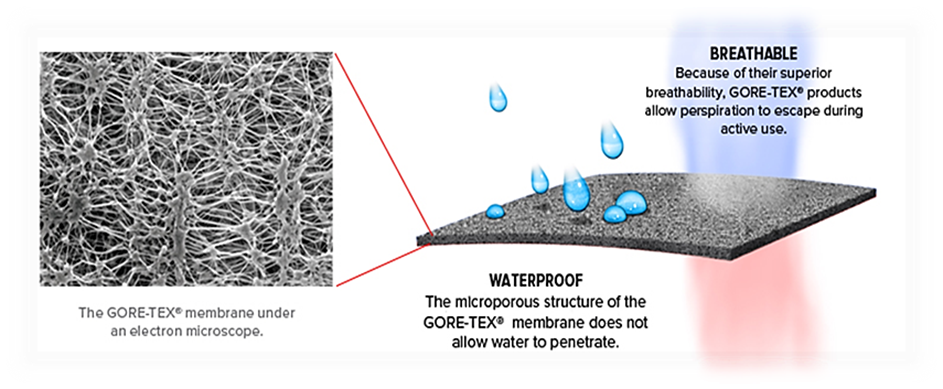 TEACHING MATERIALS for researchers/teachers trainees: Functional ...